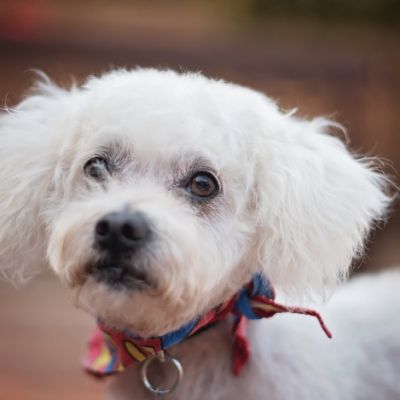 Olafson – Twyla's Friends