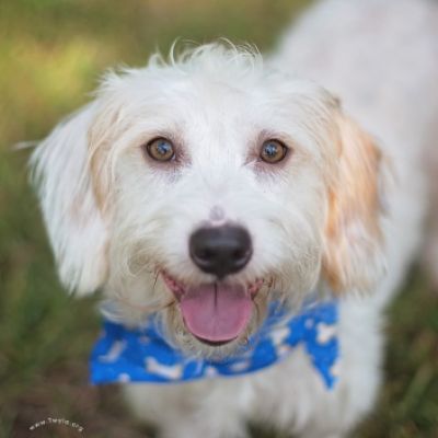 Gunner – Twyla's Friends