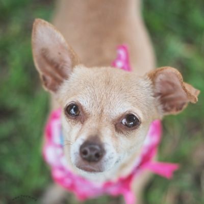 Izzy – Twyla's Friends