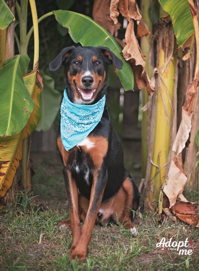 Remington – Twyla's Friends