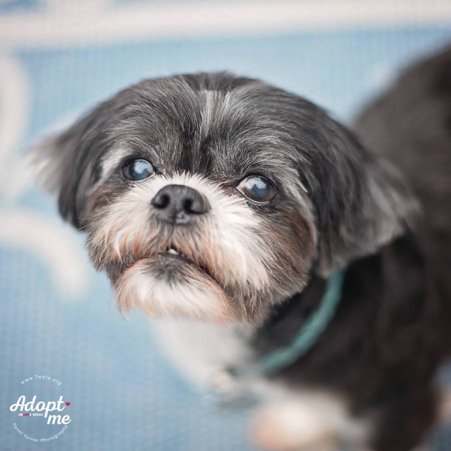 Lady – Twyla's Friends