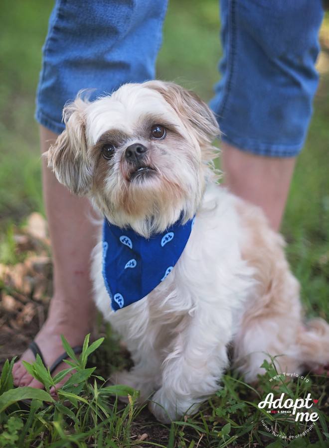 Elmo – Twyla's Friends