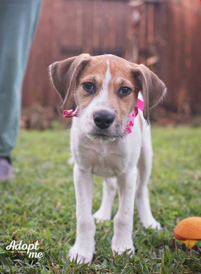 Peppermint Patty – Twyla's Friends