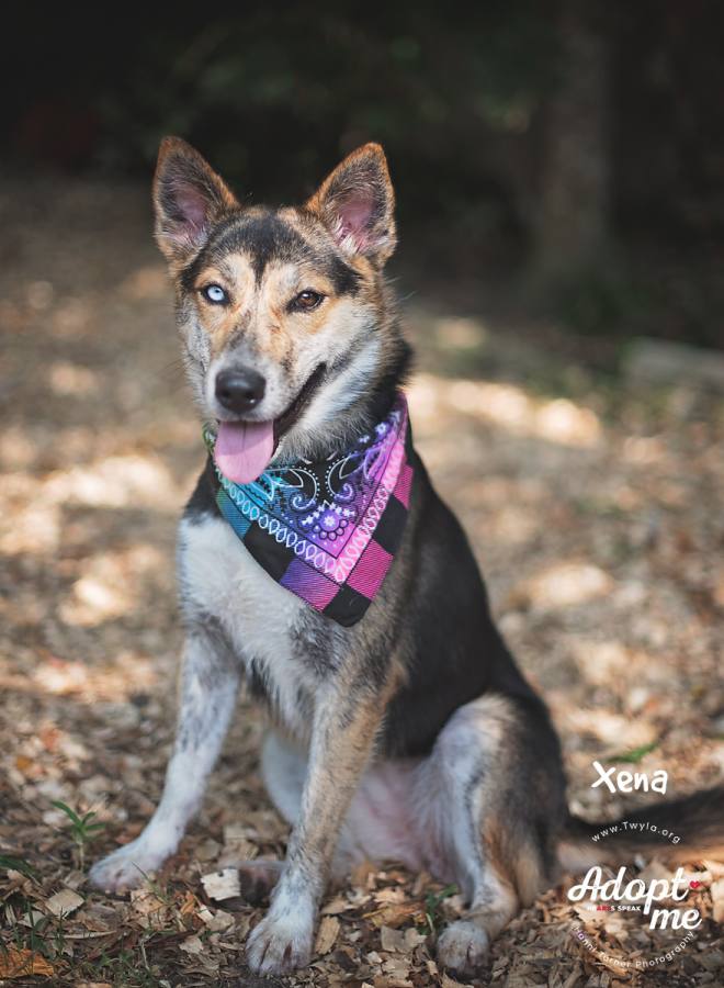 Xena – Twyla's Friends